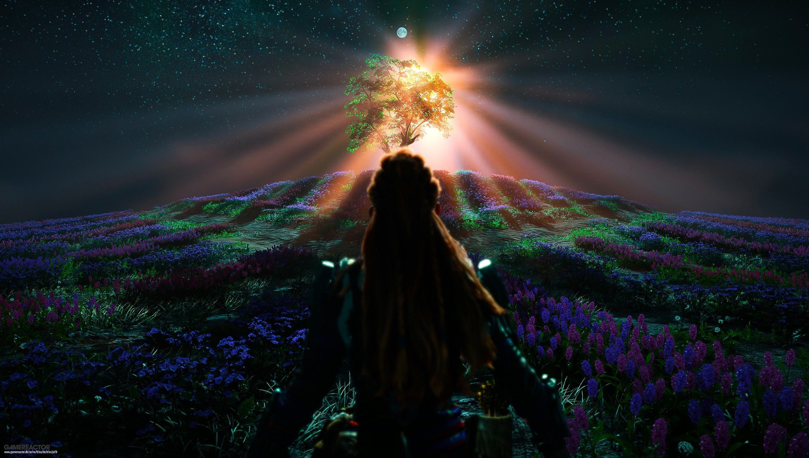 Horizon Forbidden West is Sony's vijfde grootste lancering op pc