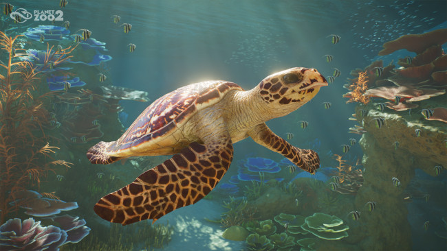 Frontier kondigt aan Planet Zoo 2, gepland om in oktober te verschijnen ...